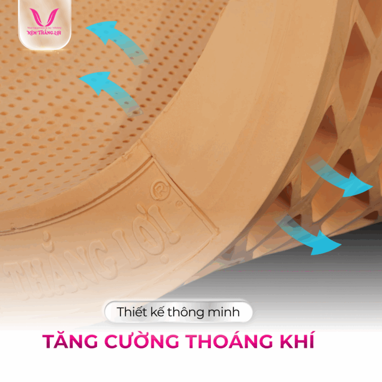 NỆM 100% Cao Su Thiên Nhiên Thắng Lợi SuSu - Original - Nệm Thắng Lợi